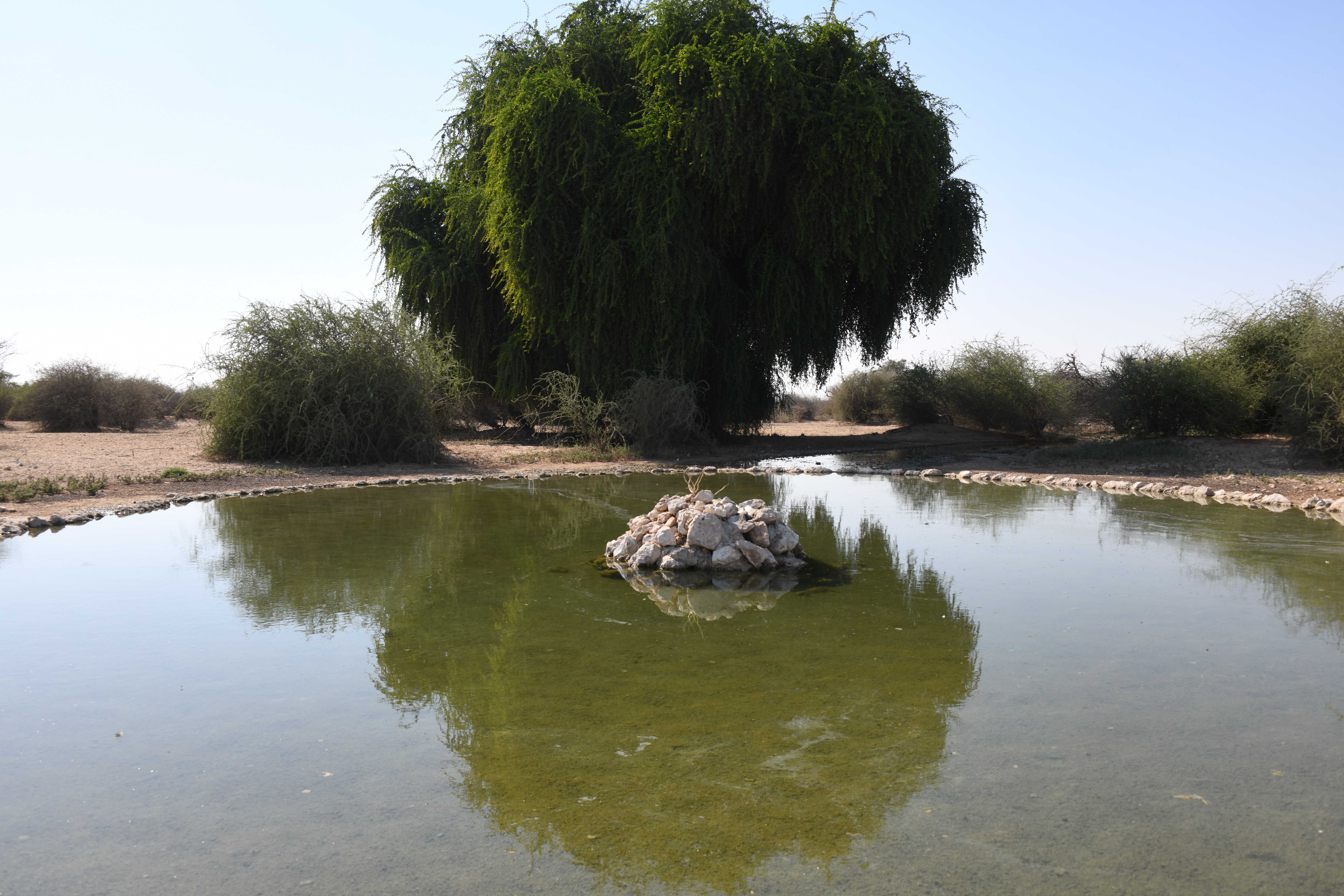 Al Rafa Reserve - MECC