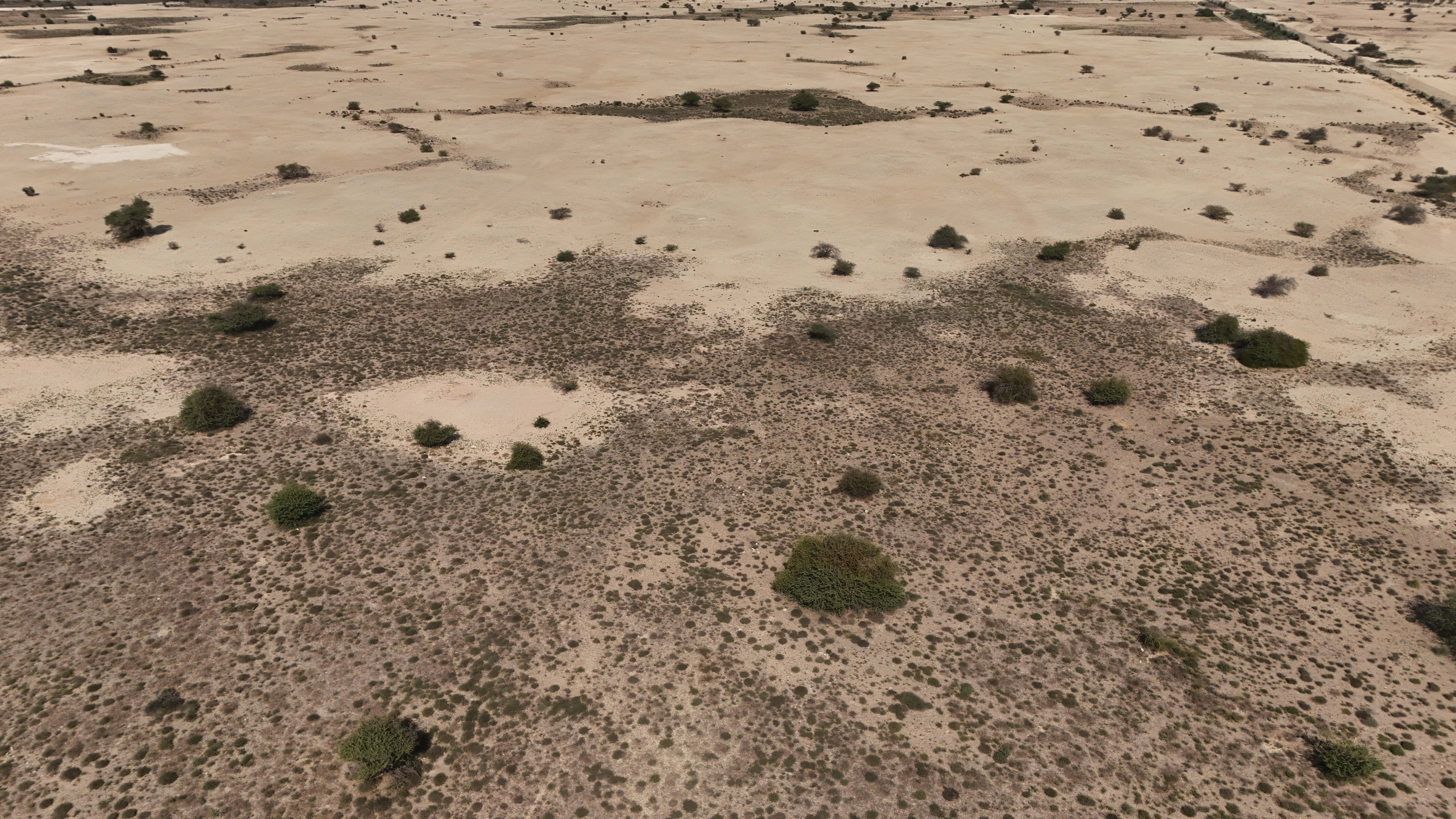 Sunai Reserve - MECC
